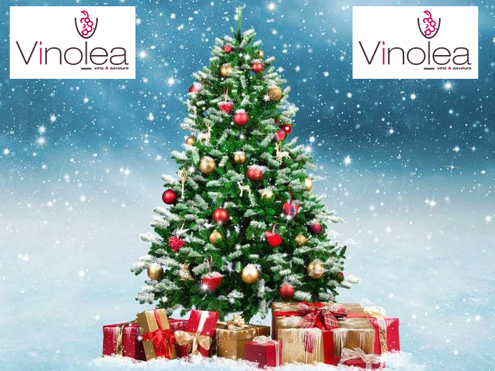 Vinolea cave à vins à Grenoble et Meylan, cours d'oenologie et dégustations
